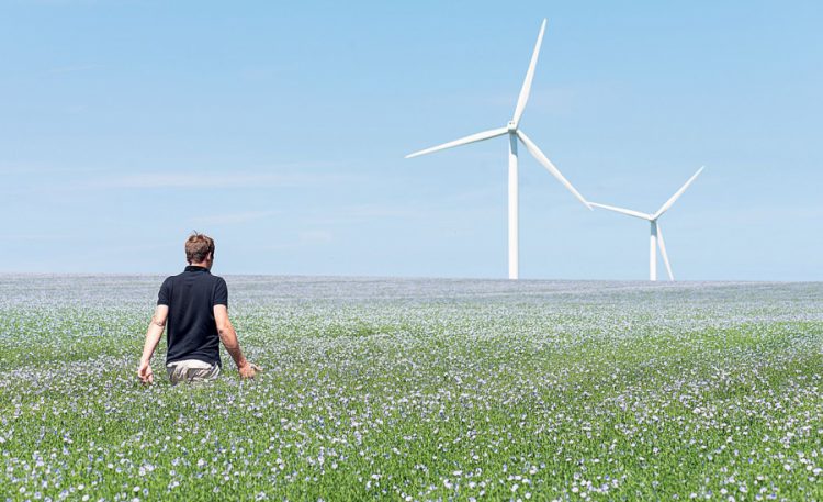 Le lin, une culture en or pour l’environnement - Le Betteravier français