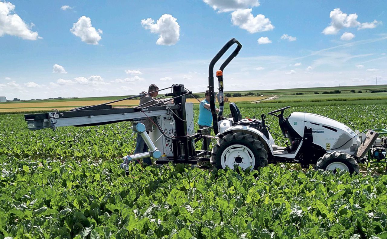 BettyBot prend l’air ! - Le Betteravier français