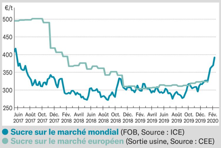 Sucre : Les cours progressent malgré des vents macroéconomiques ...