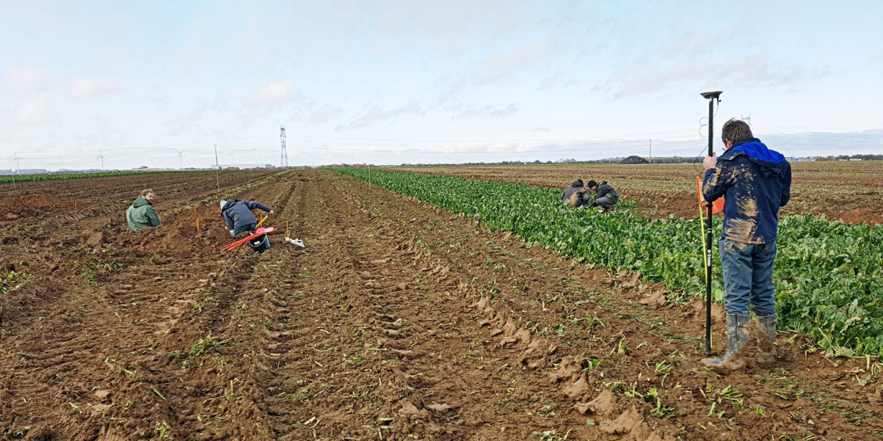 Tassement du sol à la récolte : quelles solutions préventives