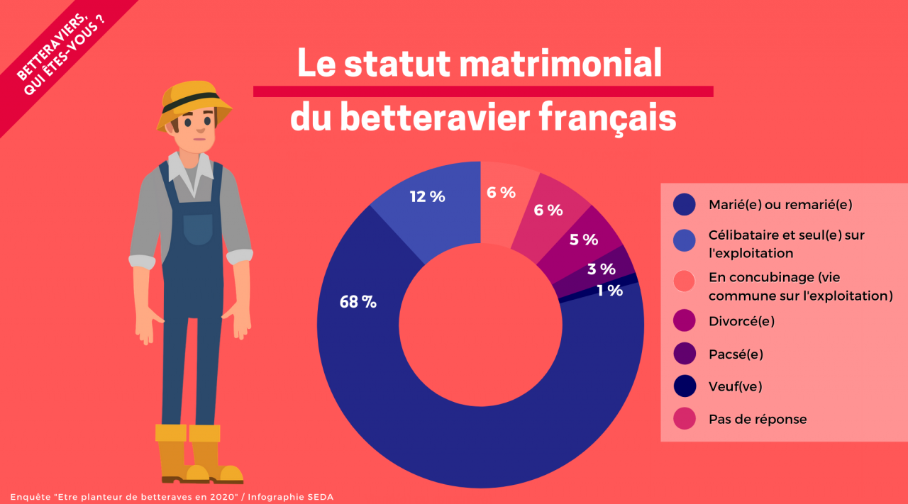 Betteraviers, qui êtes-vous ? (2/5) : le statut matrimonial - Le ...