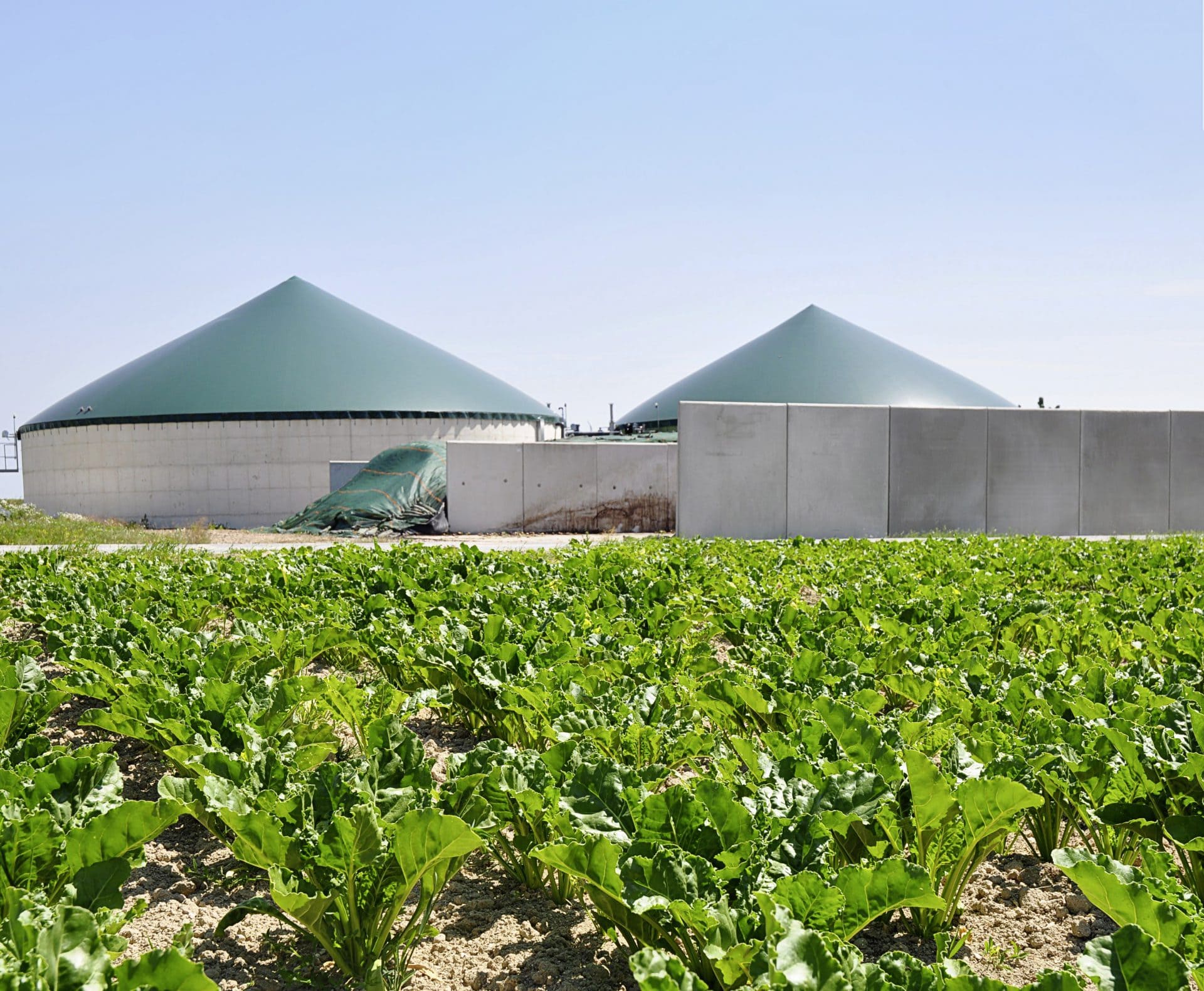 Réussir votre projet de méthanisation en 10 étapes - Le Betteravier ...