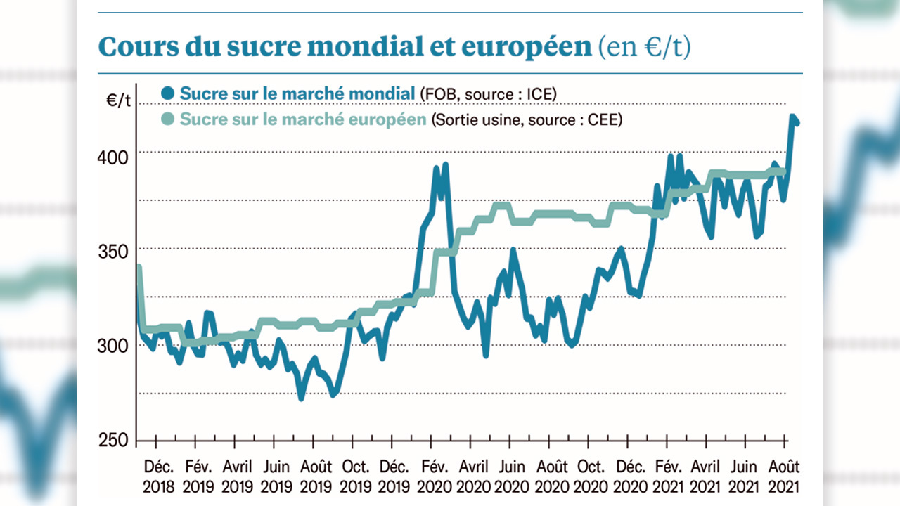 Sucre : Calme plat sur les marchés mondiaux
