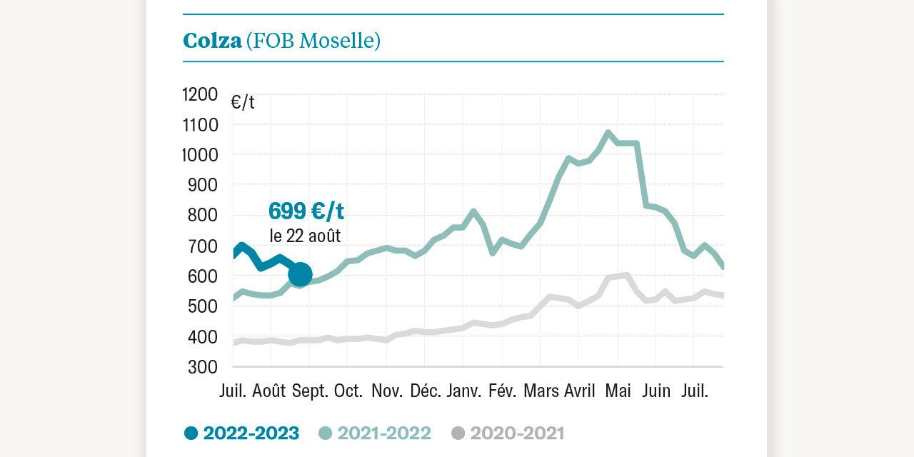 Une très belle récolte de colza et des prix toujours élevés - Le ...