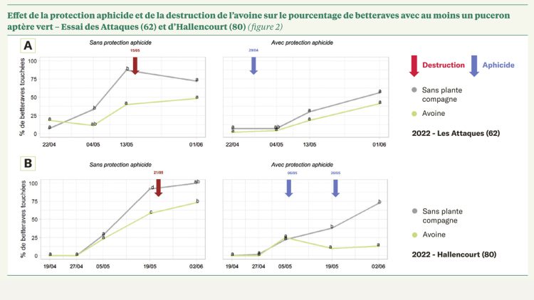 Résultats d’expérimentation - Le Betteravier français
