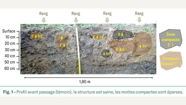 Tassement de sol à la récolte : étude de cas - Le Betteravier français