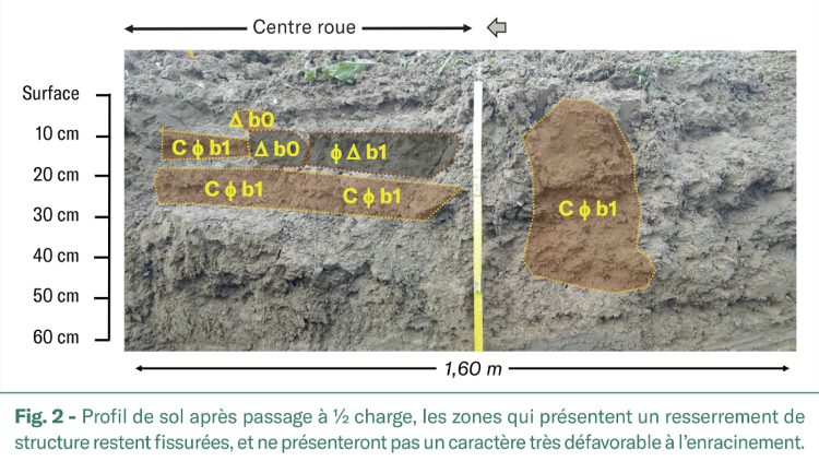 Tassement de sol à la récolte : étude de cas - Le Betteravier français