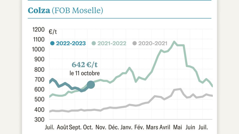 Les cours du colza en phase de rebond - Le Betteravier français
