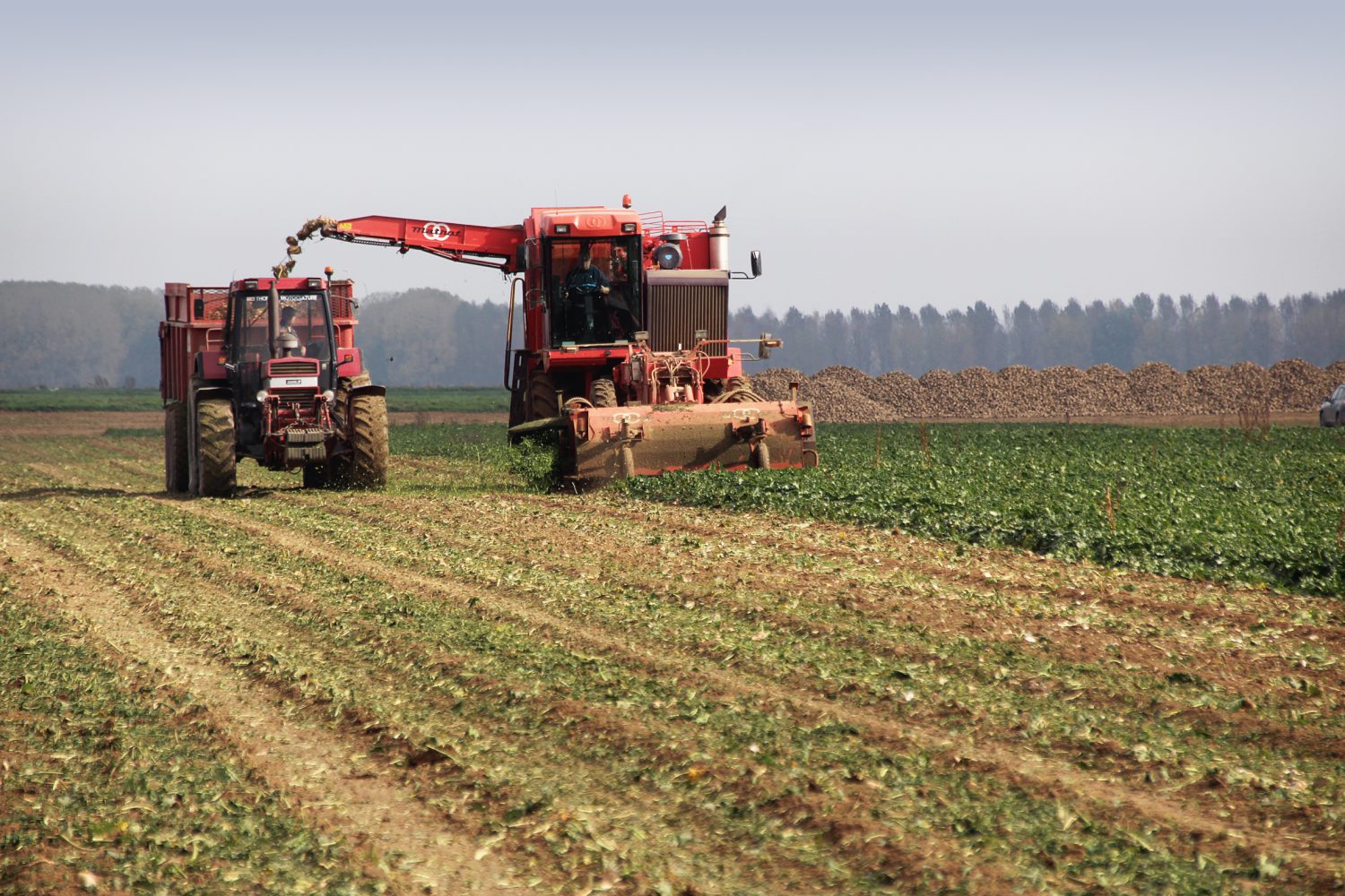 Une Matrot 41 pour préserver ses sols - Le Betteravier français