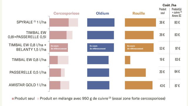 Tableau de performance des produits - Le Betteravier français