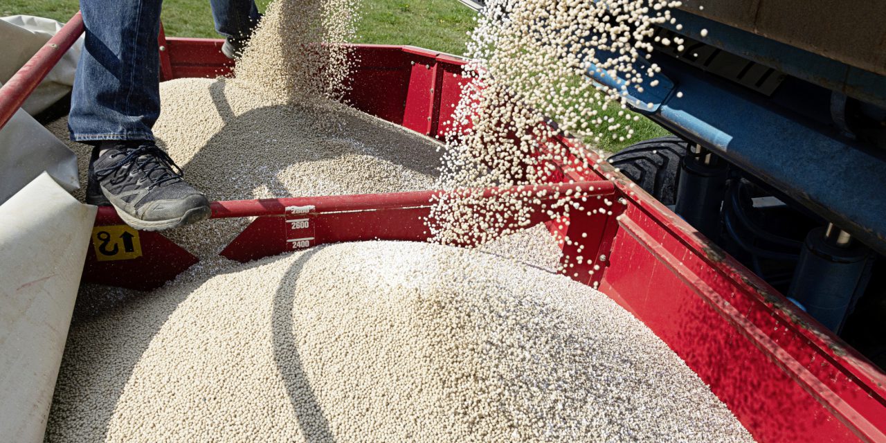 Valoriser chaque apport d’azote - Le Betteravier français