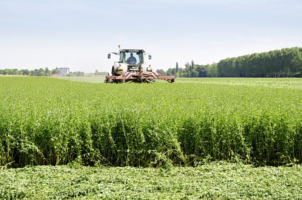 La luzerne, une culture très « PAC compatible » - Le Betteravier français