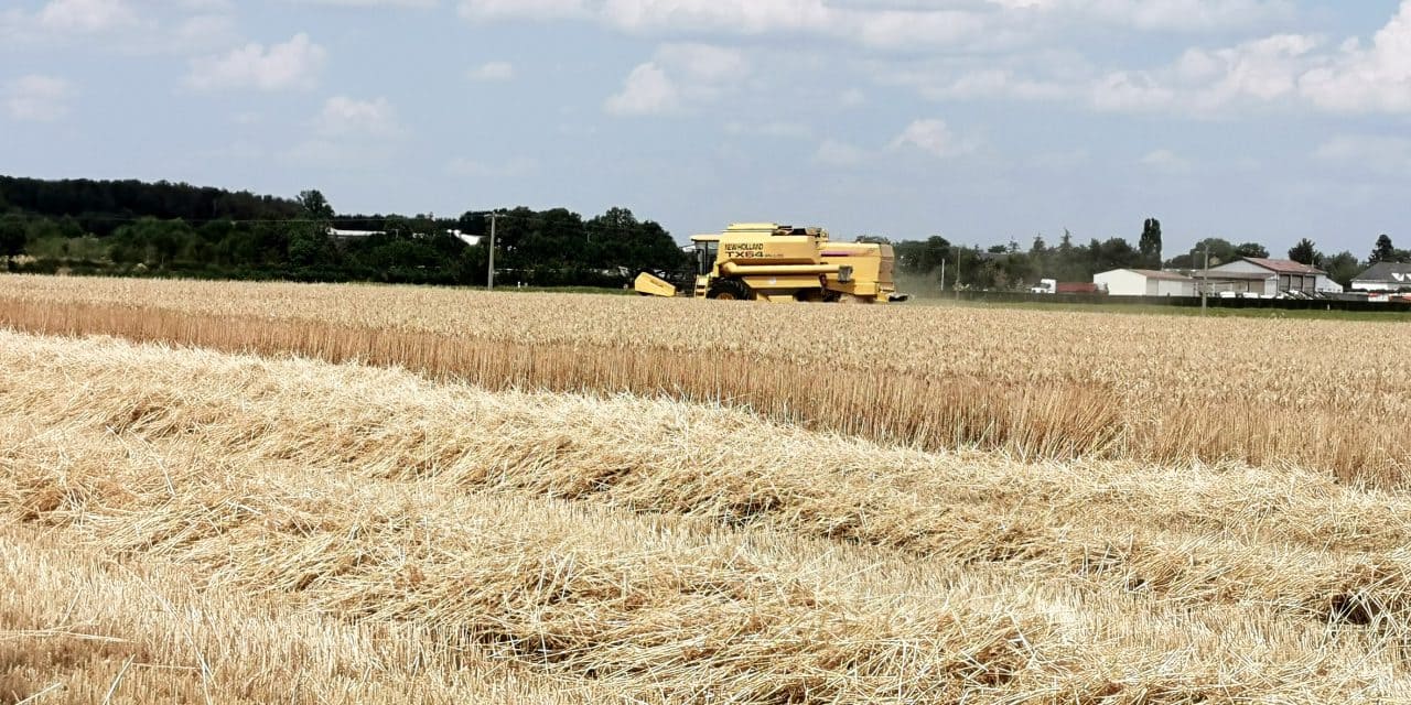 Retour sur la méthode Comifer - Le Betteravier français
