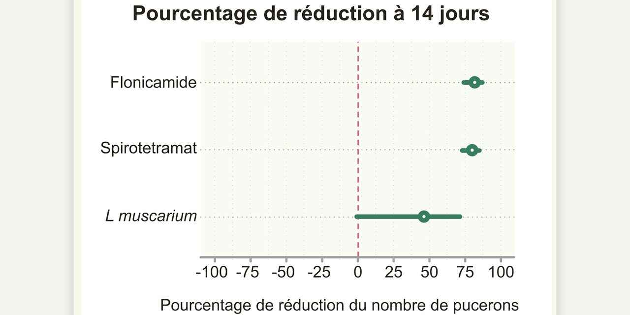 Produits de biocontrôle : une efficacité aphicide très variable - Le ...
