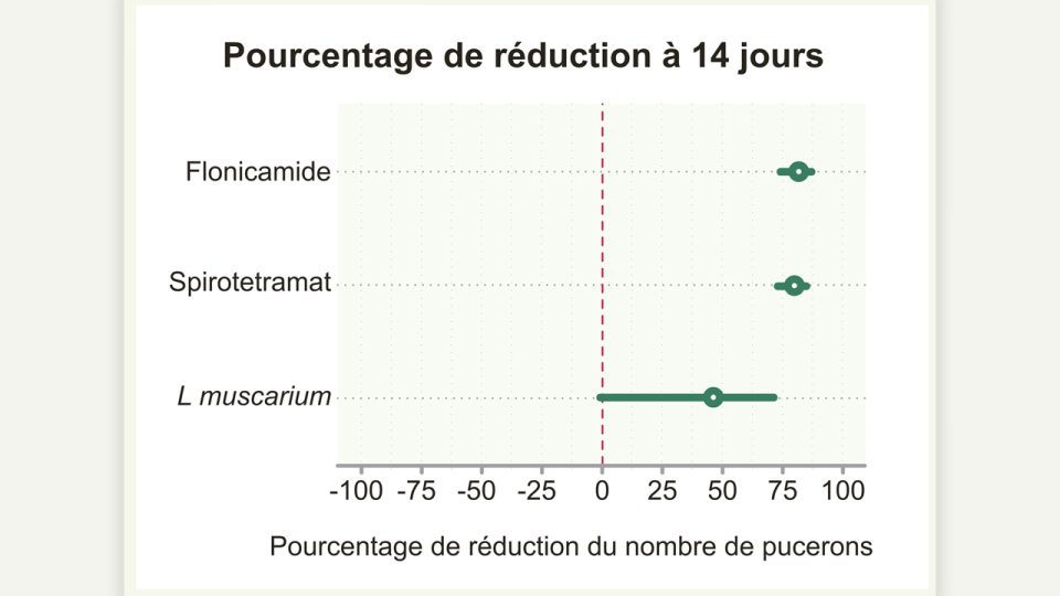 Produits de biocontrôle : une efficacité aphicide très variable - Le ...