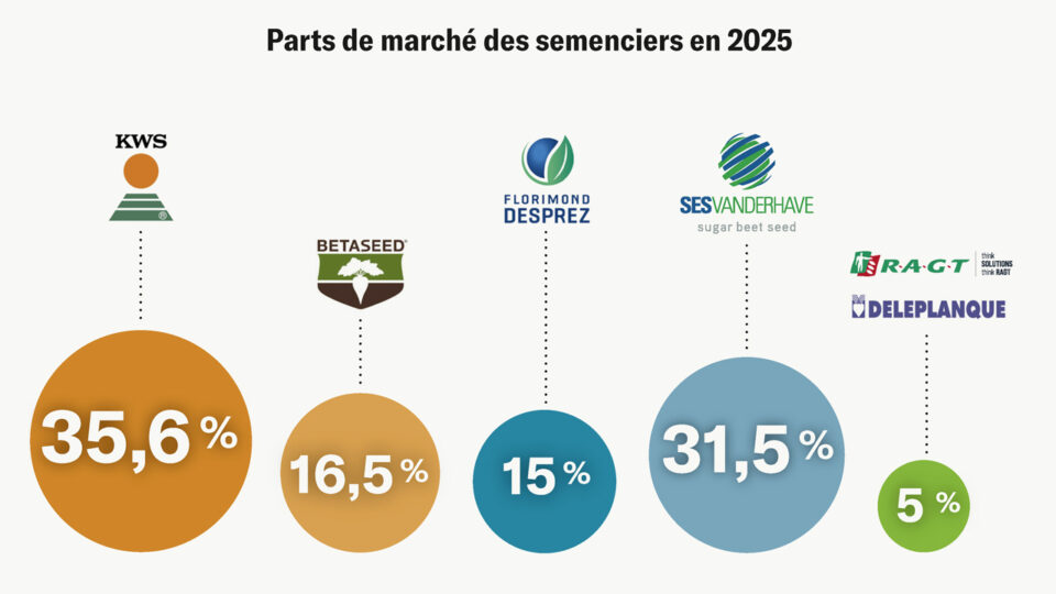 KWS s’impose, RAGT arrive, UBS se structure - Le Betteravier français